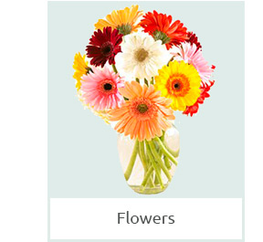 Flower Delivery Stores Near Me 🌺 Mar 2026